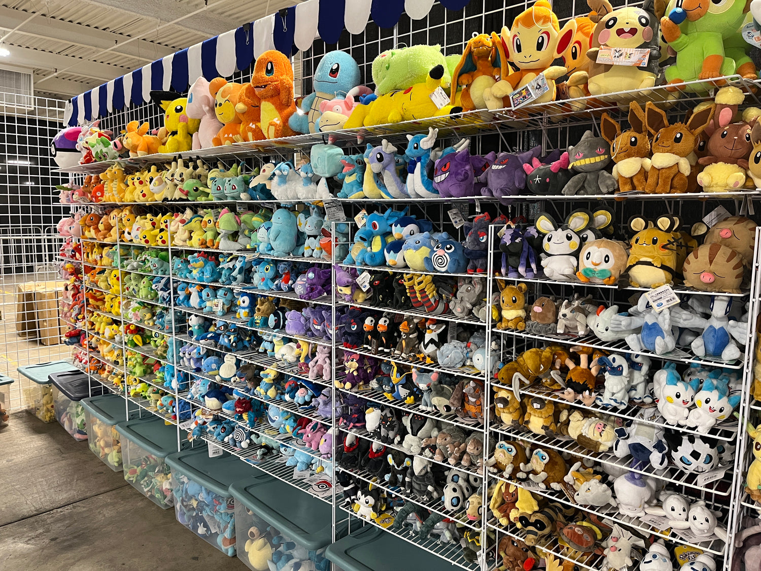 Pokemon Plushes, Blind Boxes, TCG, & Gifts | Poke Merch Market