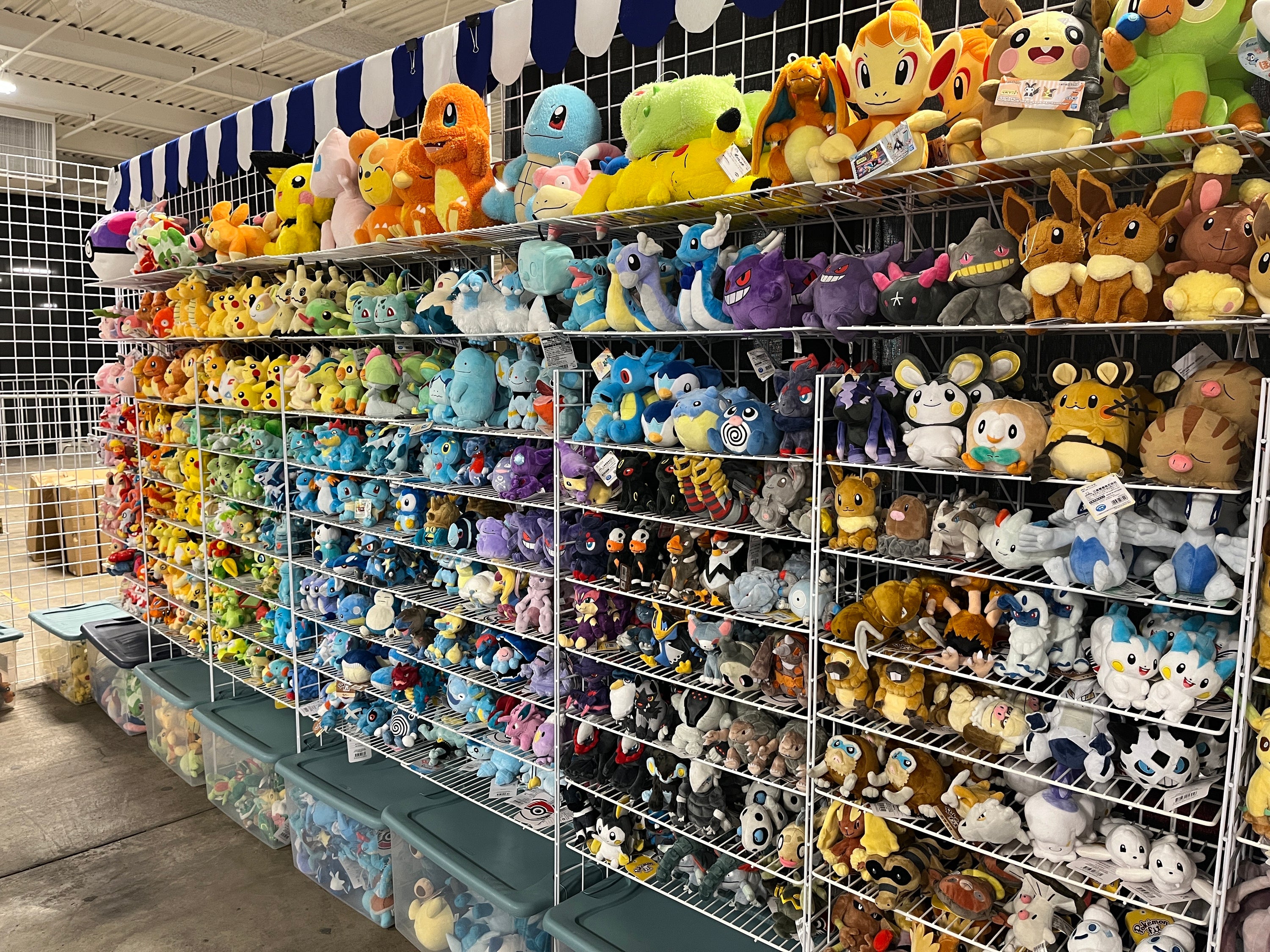 Pokemon Plushes, Blind Boxes, TCG, & Gifts | Poke Merch Market