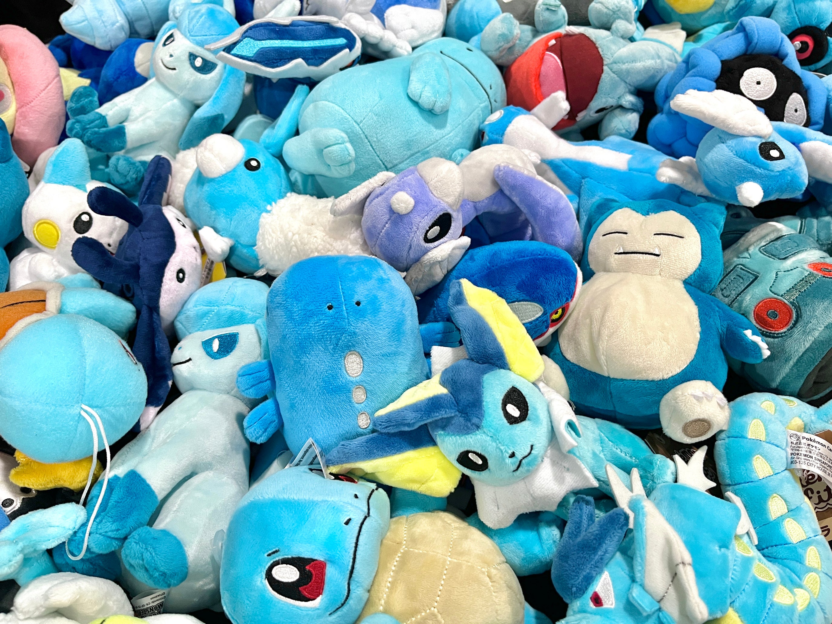 Pokemon Plushes, Blind Boxes, TCG, & Gifts | Poke Merch Market